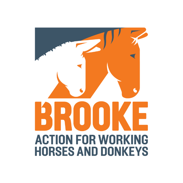 Logo - Brooke brand and content style guide